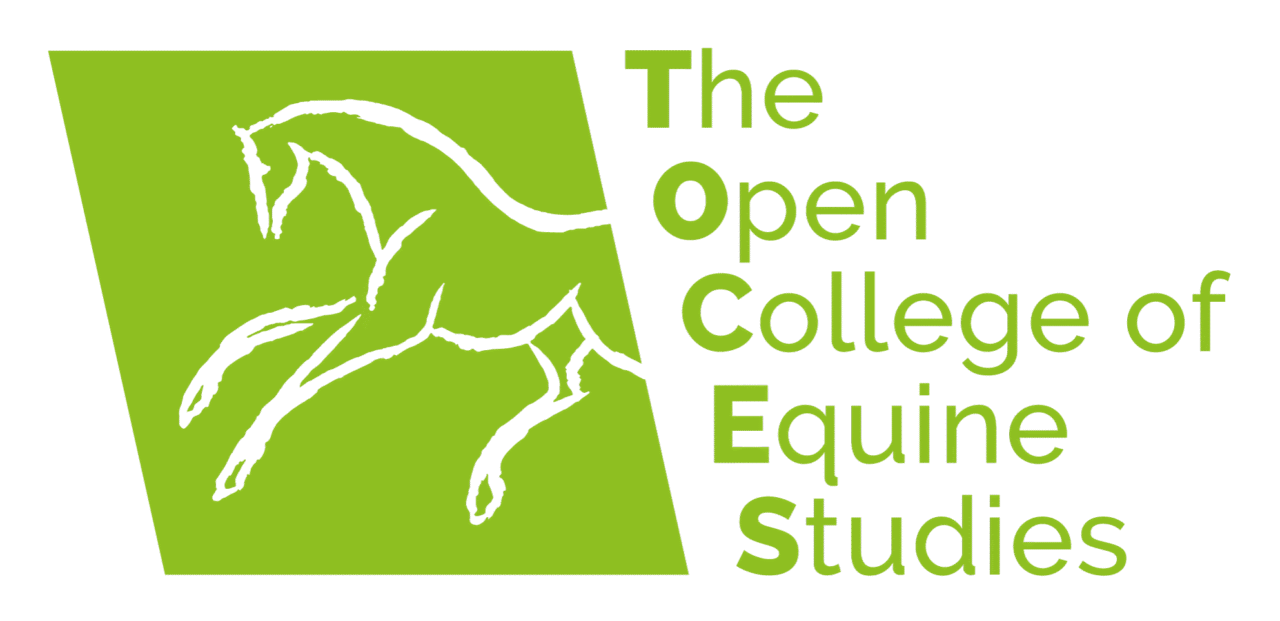 About Us | The Open College of Equine Studies